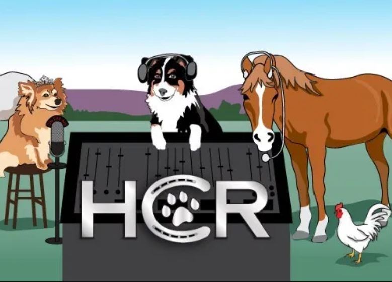 Magna Wave Therapy Archives - Healthy Critters Radio